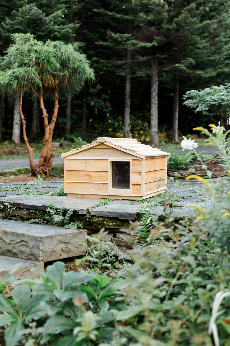 Extra Large Outdoor Cat House – undercoverpethouses